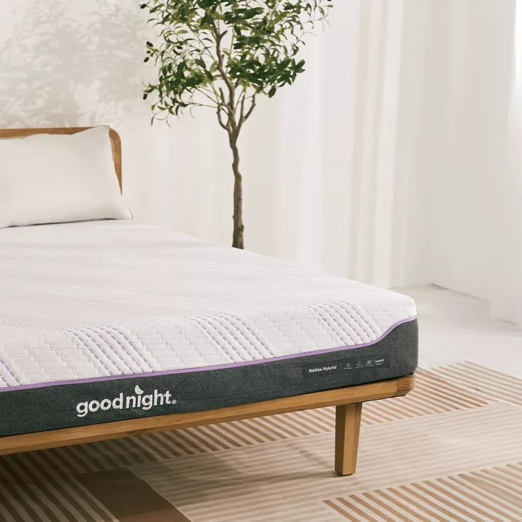 Nệm Foam Công Nghệ Mới Goodnight Active Hybrid Dày 20cm
